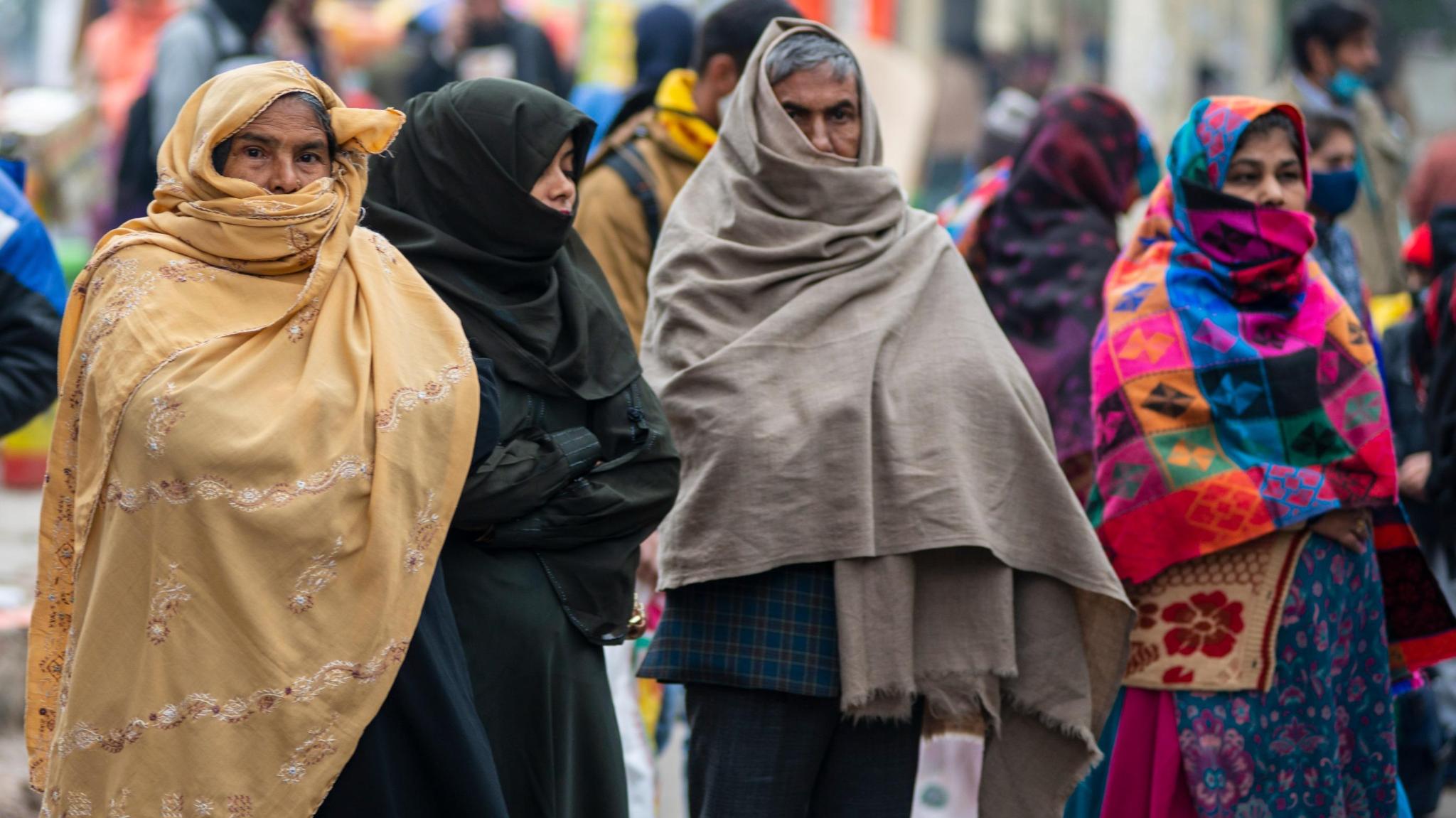 Newsletter (Apr 2025): A new chapter, a new format for our weekly news, and more - IAMC